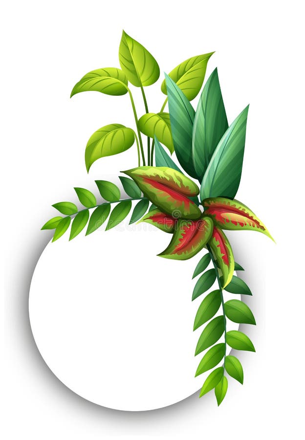 Border Template with Green Leaves Stock Vector - Illustration of ... Border Template with Green Leaves Stock Vector - Illustration of ...