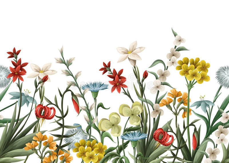 Border with Thin Meadow Flowers. Vector. Stock Vector - Illustration of ...