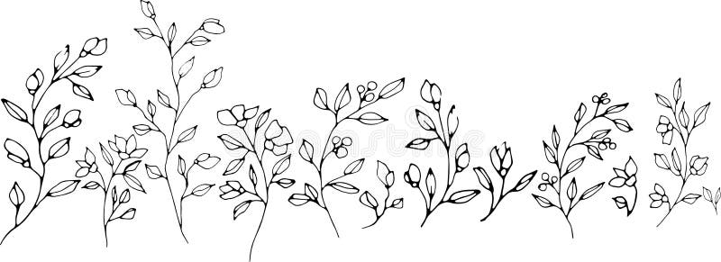 Border with Graphic Vector Plant Branches with Flowers. Buds and ...