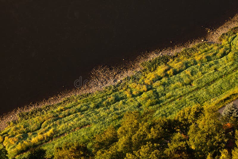 1,407 Swamp Border Stock Photos - Free & Royalty-Free Stock Photos from ...