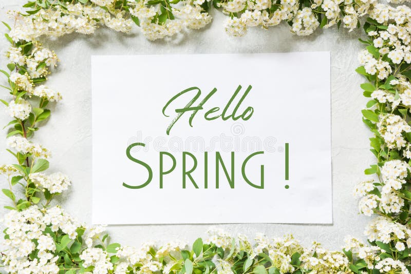 Border of White Spirea Flowers. Space with Text - Hello Spring Stock ...