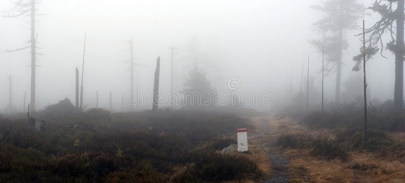 Borderline Bollard Along Footpath in Foggy Forest Stock Photo - Image ...