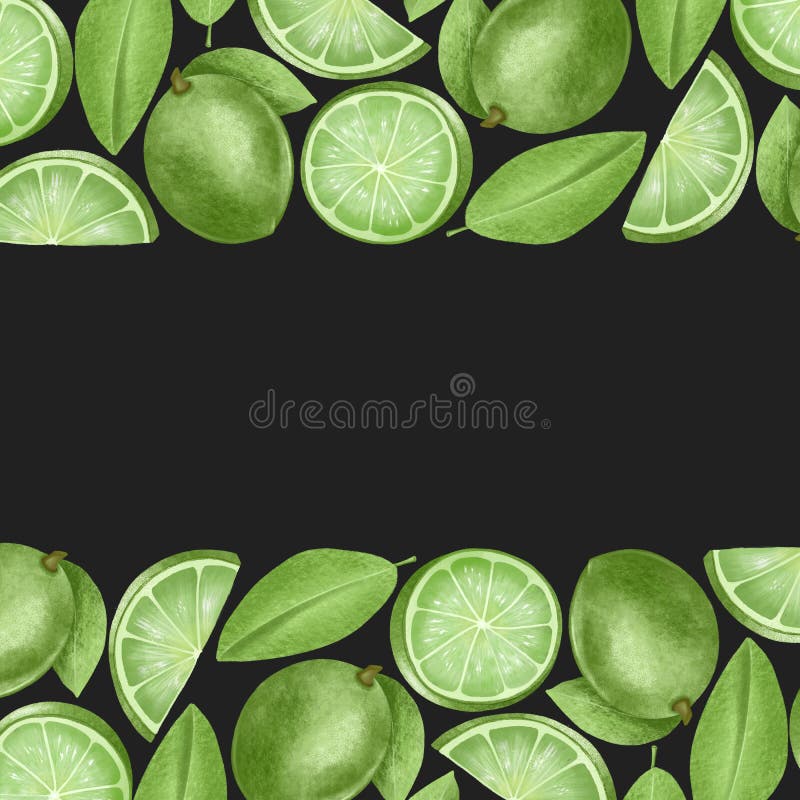 Borders of Hand Drawn Limes Stock Illustration - Illustration of fresh ...