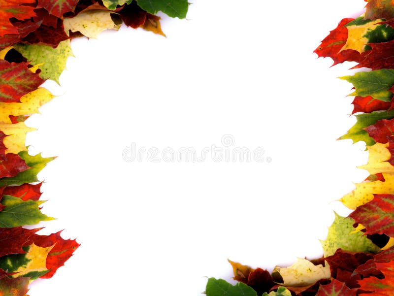 Borders of Maple Leaf stock photo. Image of pattern, beauty - 55506976