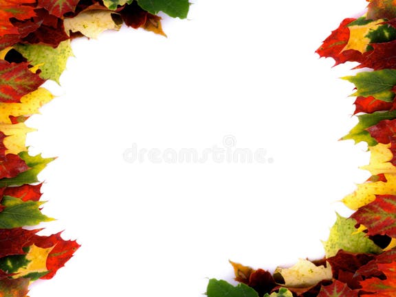 Borders of Maple Leaf stock photo. Image of pattern, beauty - 55506976