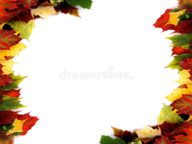 Borders of Maple Leaf stock photo. Image of pattern, beauty - 55506976