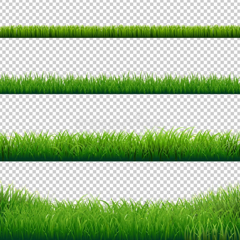 Bordes verdes ilustración del vector. Ilustración de parque - 195717007