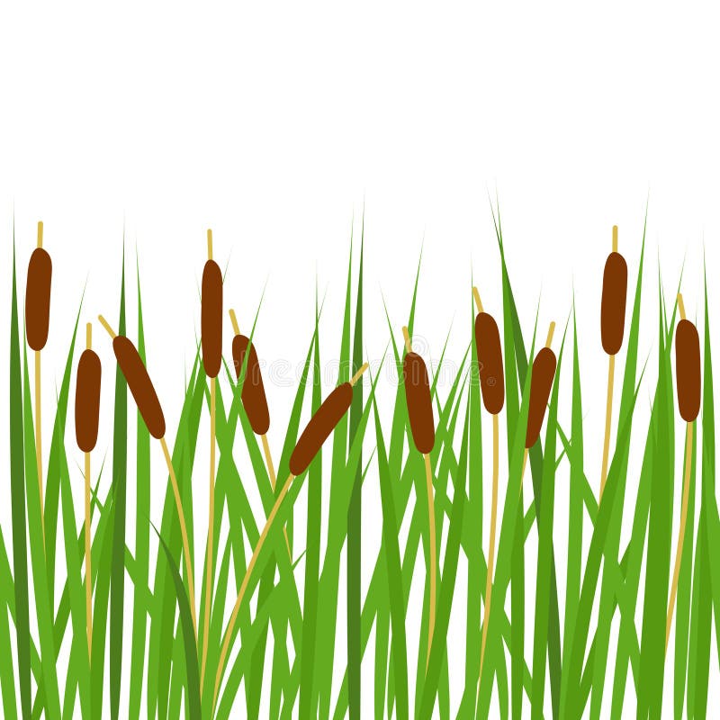 Roseaux Stock Illustrations, Vecteurs, & Clipart – (29,235 Stock ...