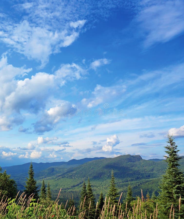 Boreal forest landscape stock photo. Image of mountain - 44032766