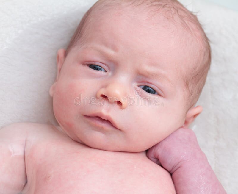 Bored baby stock image. Image of bored, infant, adorable - 17818055