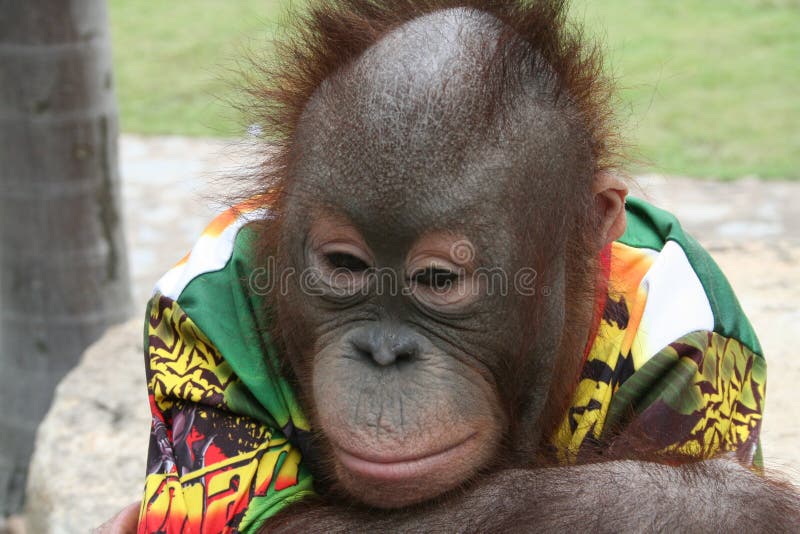 2,606 Green Boring Stock Photos - Free & Royalty-Free Stock Photos from Dreamstime