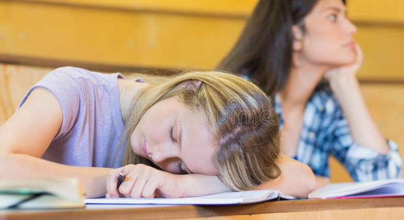 Bored Student Listening while Classmate Sleeping Stock Image - Image of ...