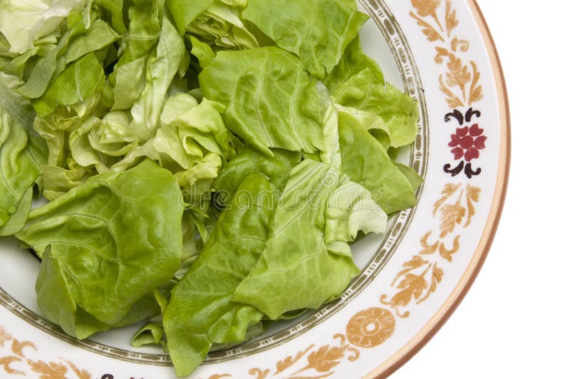Boring Salad stock photo. Image of isolated, vegetable - 13348416