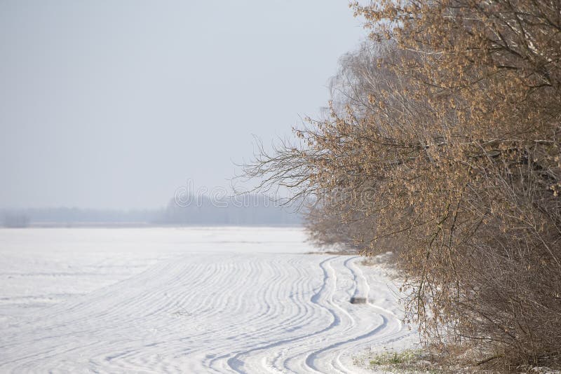 Boring winter landscape stock photo. Image of freshness - 259890866