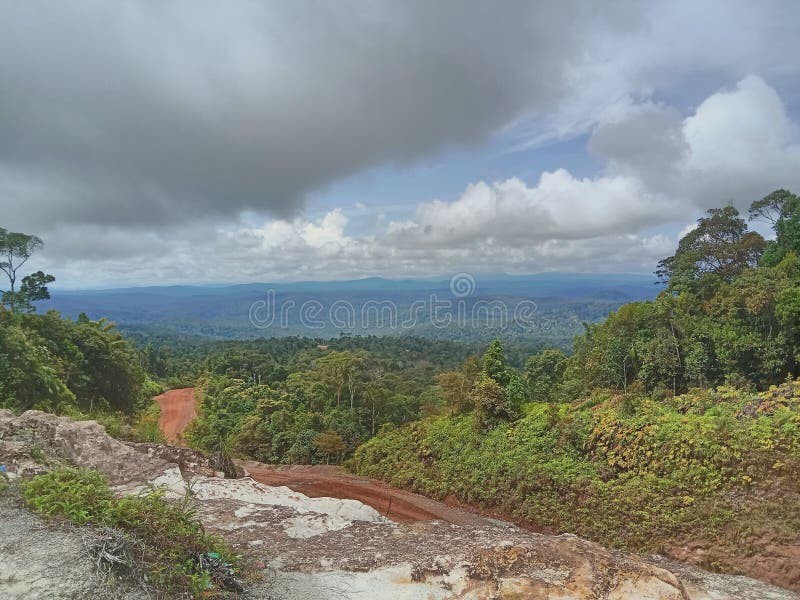 Borneo forest in Indonesia stock photo. Image of kalimantan - 277593230