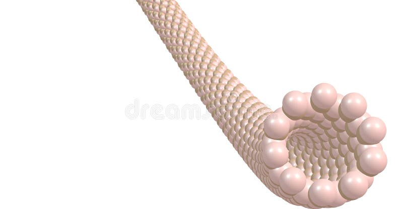 Boron Nitride Nanotube Structure Isolated on White Stock Illustration ...