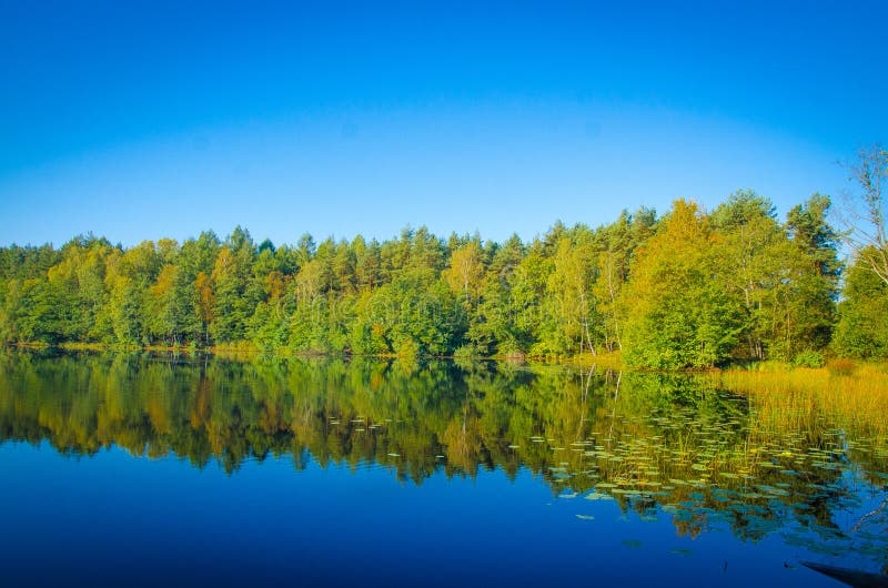Borowo lake in authum stock photo. Image of early, lake - 82281962