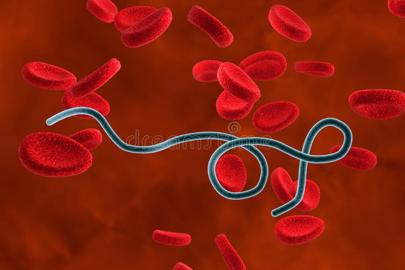 Borrelia Infection Stock Illustrations – 153 Borrelia Infection Stock ...