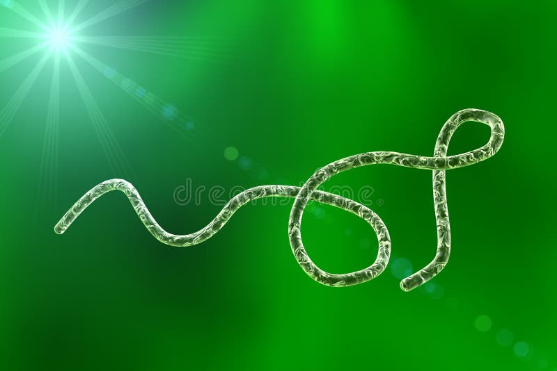 Borrelia Infection Stock Illustrations – 153 Borrelia Infection Stock ...