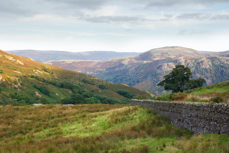 Borrowdale, Cumbria, England Stock Image - Image of peaceful, lake ...
