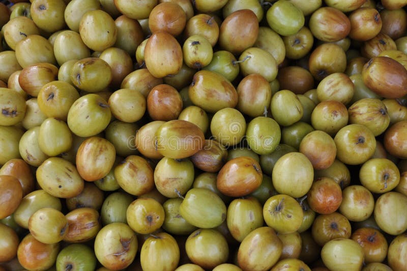 Bors stock photo. Image of food, fruit, bors, indian - 97031970