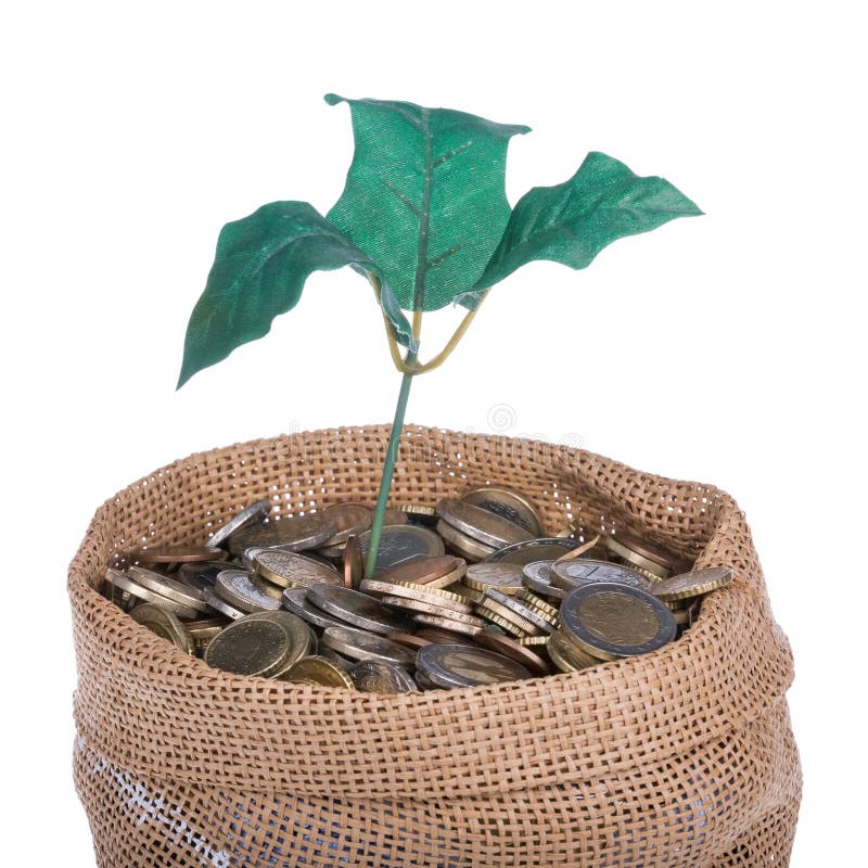 Borsa Dei Soldi Con Le Monete E L'albero Dei Soldi Isolato Ad Un Fondo ... Borsa Dei Soldi Con Le Monete E L'albero Dei Soldi Isolato Ad Un Fondo ...
