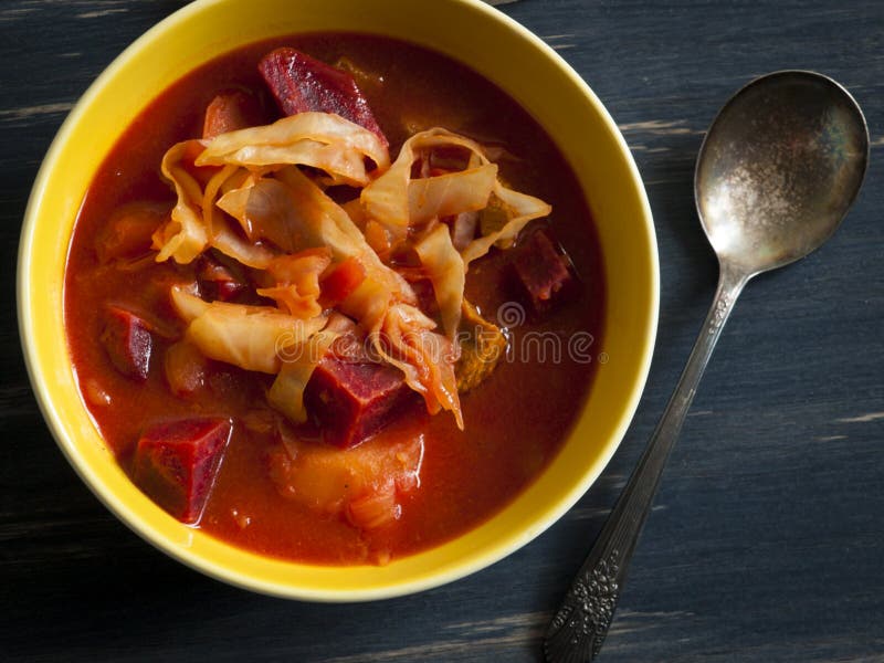 Borsch stock photo. Image of garnish, spoon, meat, culture - 24419292