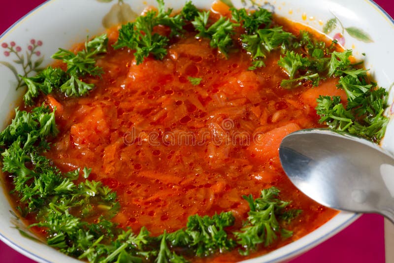 Borsch stock photo. Image of lunch, culture, gourmet - 27642158