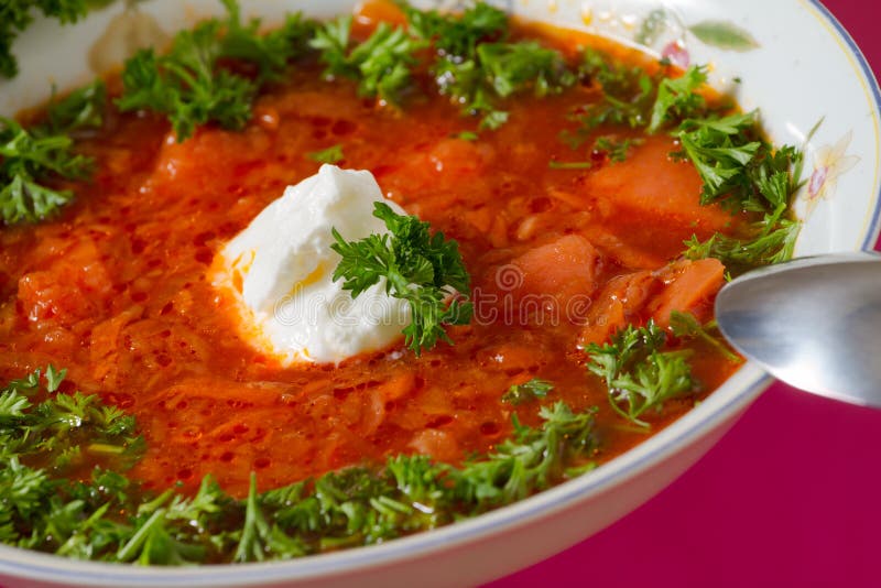 Borsch stock image. Image of color, cabbage, garlic, life - 27684853