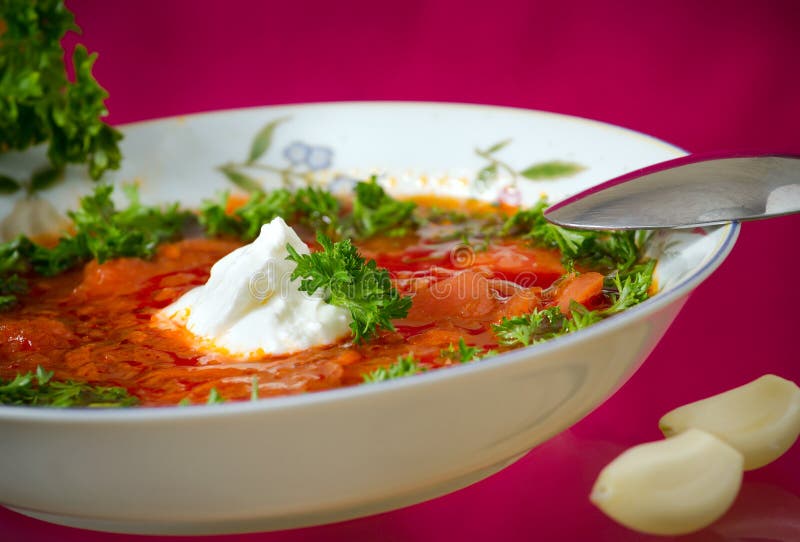 Borsch stock photo. Image of purple, restaurant, culture - 27792956