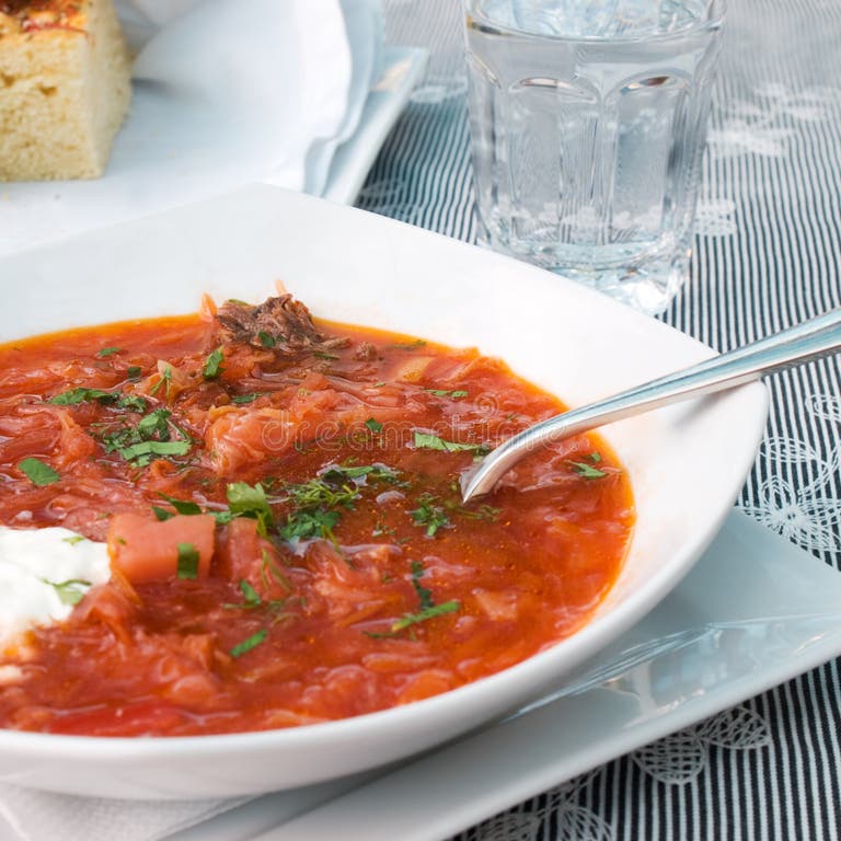 Borsch stock image. Image of restaurant, russian, heat - 9809081