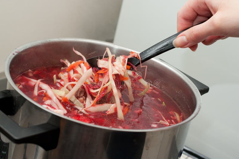 Borscht stock photo. Image of food, indoors, drink, beet - 29380630