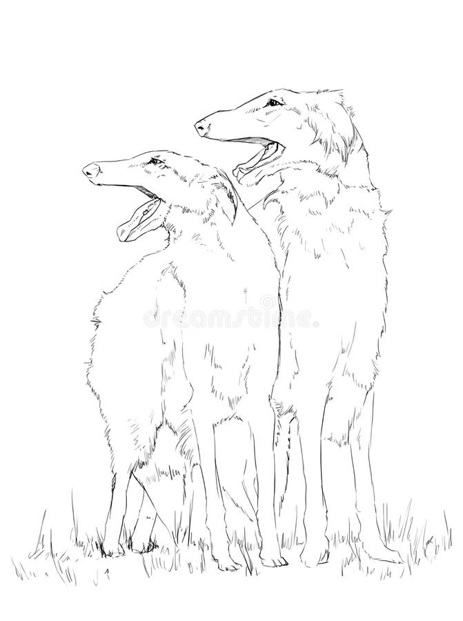 Pavel Shlykov (Pavelshlykov) - Illustrations