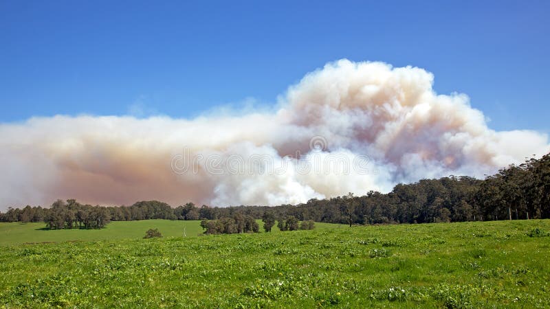Bos Brand stock foto. Image of noodsituatie, binnenland - 16288300
