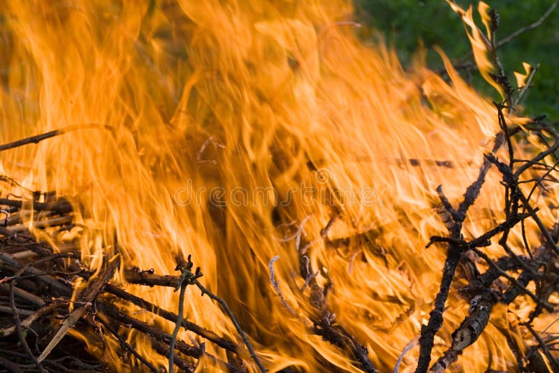 Bosbrand stock afbeelding. Image of kampvuur, aanzetten - 5173449