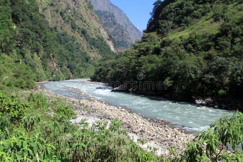 Bos en rivier stock afbeelding. Image of versheid, vallen - 36013939