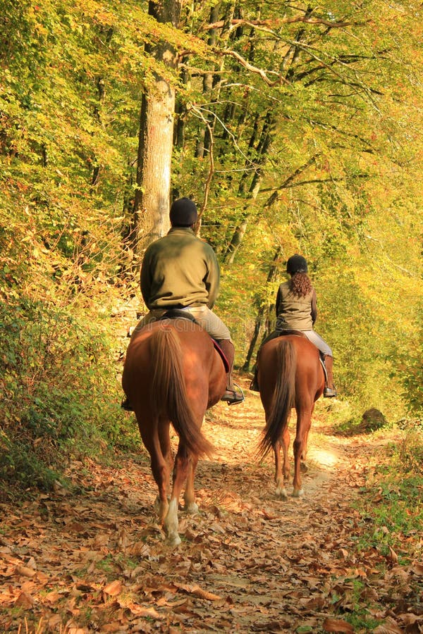 Ruiter op paard stock foto. Image of deens, landelijk - 20237460