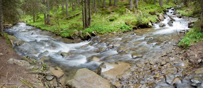Bos landschap stock foto. Image of panorama, bomen, steen - 7347684