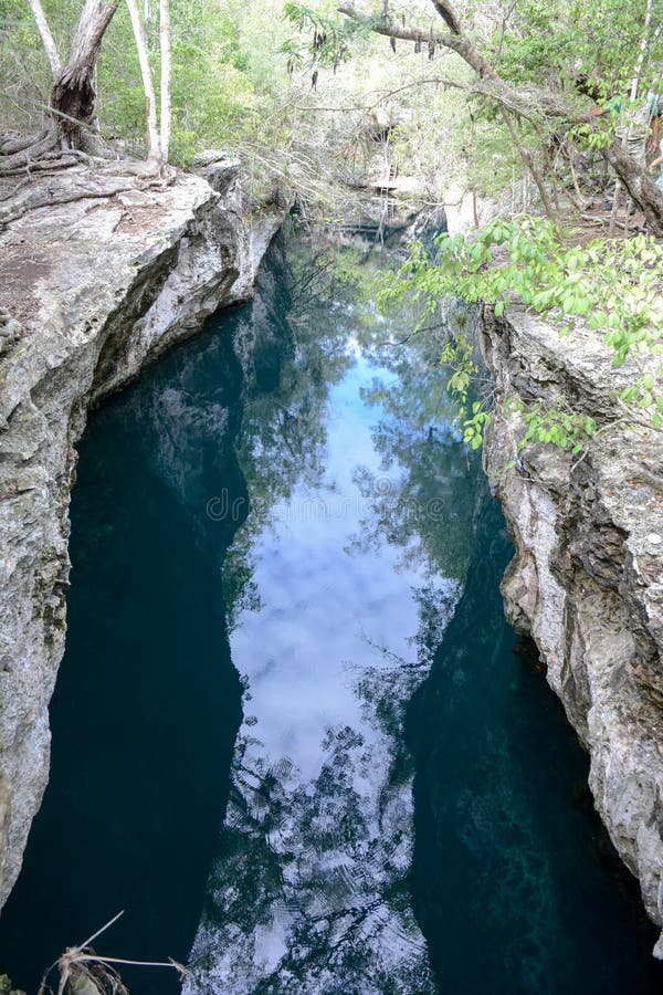 Bos Met Een Cenote in Giron Op Cuba Redactionele Stock Afbeelding ...