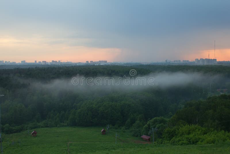 Bos Met Een Vogelperspectief Stock Afbeelding - Image of stad, buiten ...