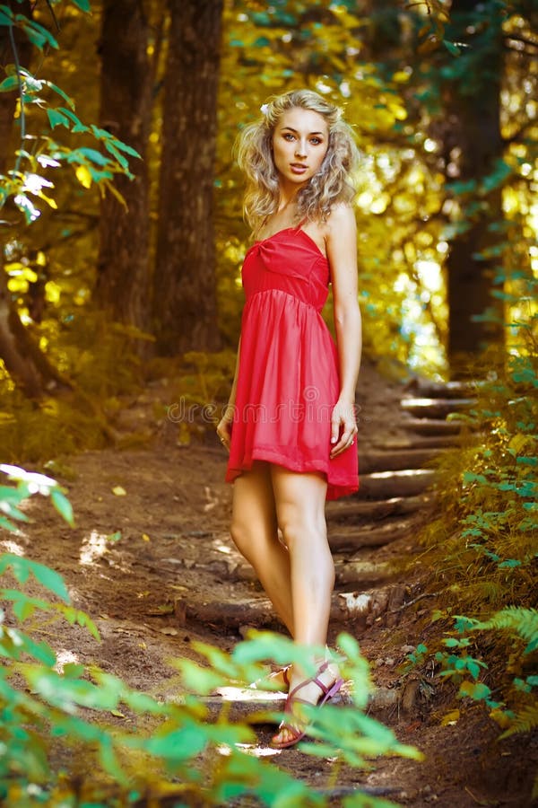 Bos nimf stock afbeelding. Image of meisje, gezicht, persoon - 20679451