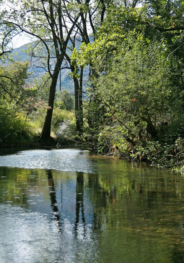 Bos Rivier stock foto. Image of rots, stroom, berg, lente - 9908210