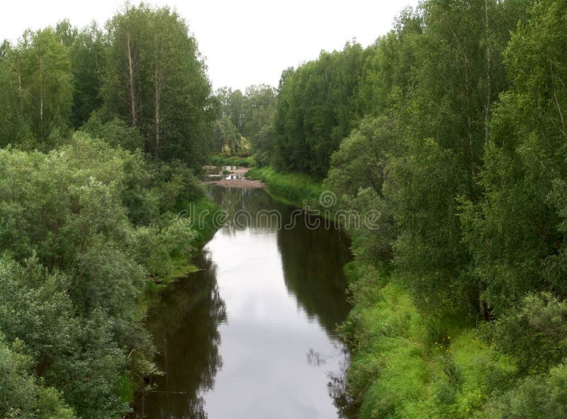 Bosrivier stock foto. Image of bezinning, stil, kruiden - 464578
