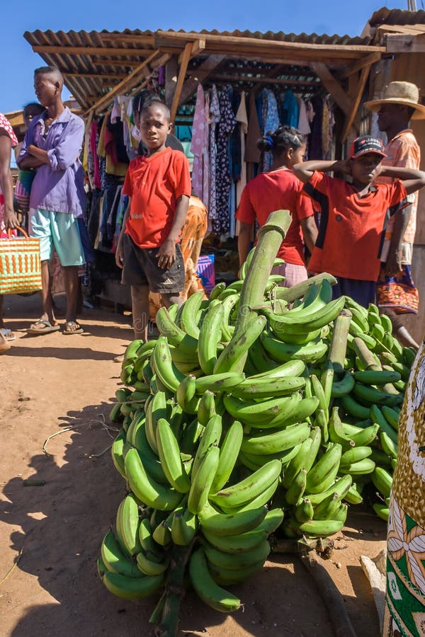 Stapel Van Groene Afrikaanse Bananen Die Op Fiets Bij Verse Markt in ...