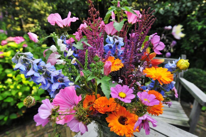 Bos van bloemen stock foto. Image of sinaasappel, roze - 5908708