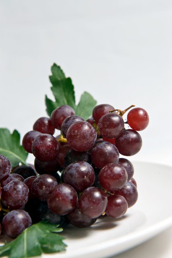 Tros zwarte druiven stock foto. Image of vrucht, rood - 15783464