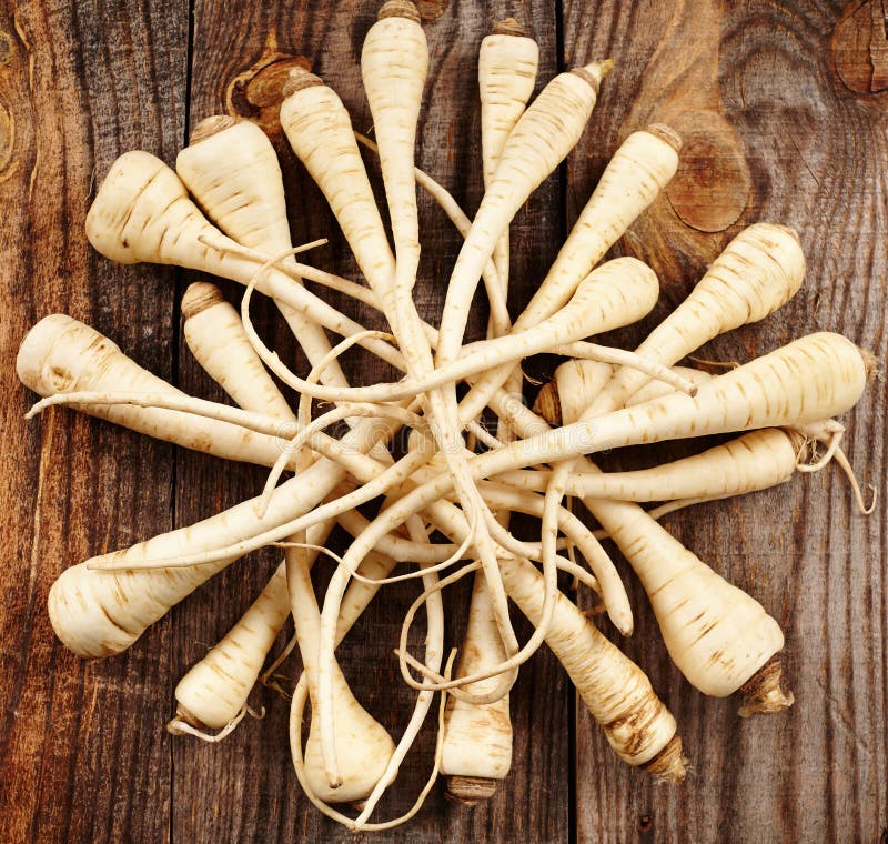 Bos pastinaak stock afbeelding. Image of gezond, raad - 37242441