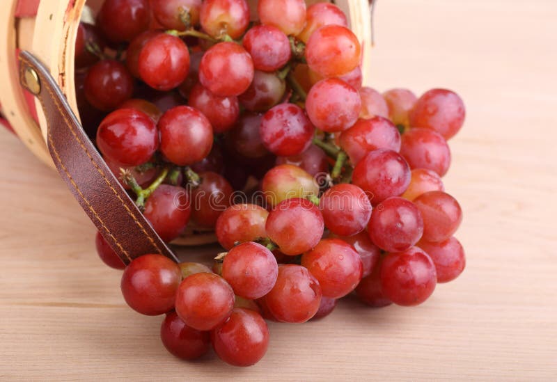 Bos van Rode Druiven stock foto. Image of druif, voedsel - 32704934