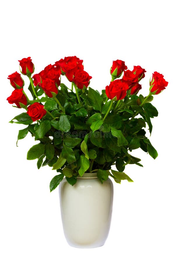 Mooie Rode Gladiolen in Vaas Stock Afbeelding - Image of zwaardlelie ...