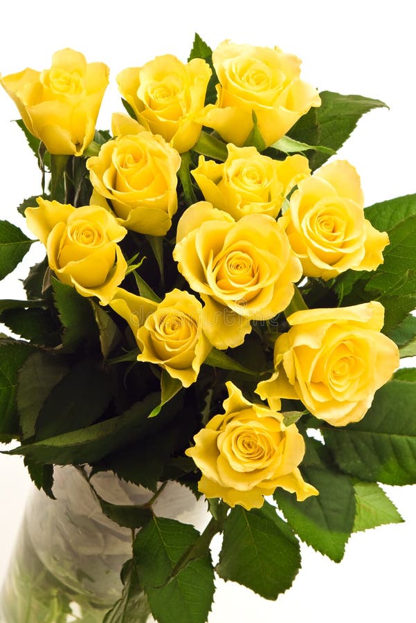 Groot boeket rode rozen stock afbeelding. Image of bloei - 7891731